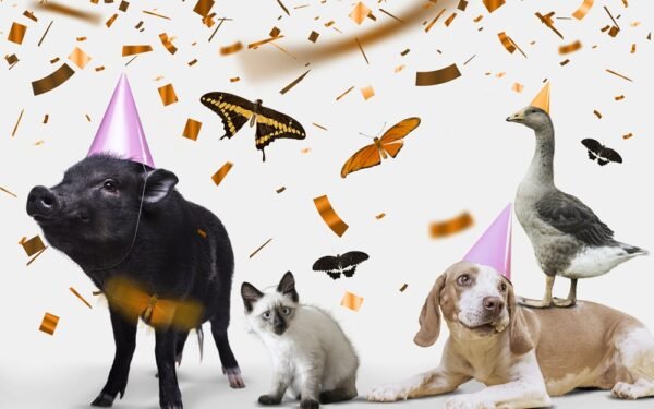 Tabela de Grupos e Bichos do Jogo do Bicho - Sbiagro